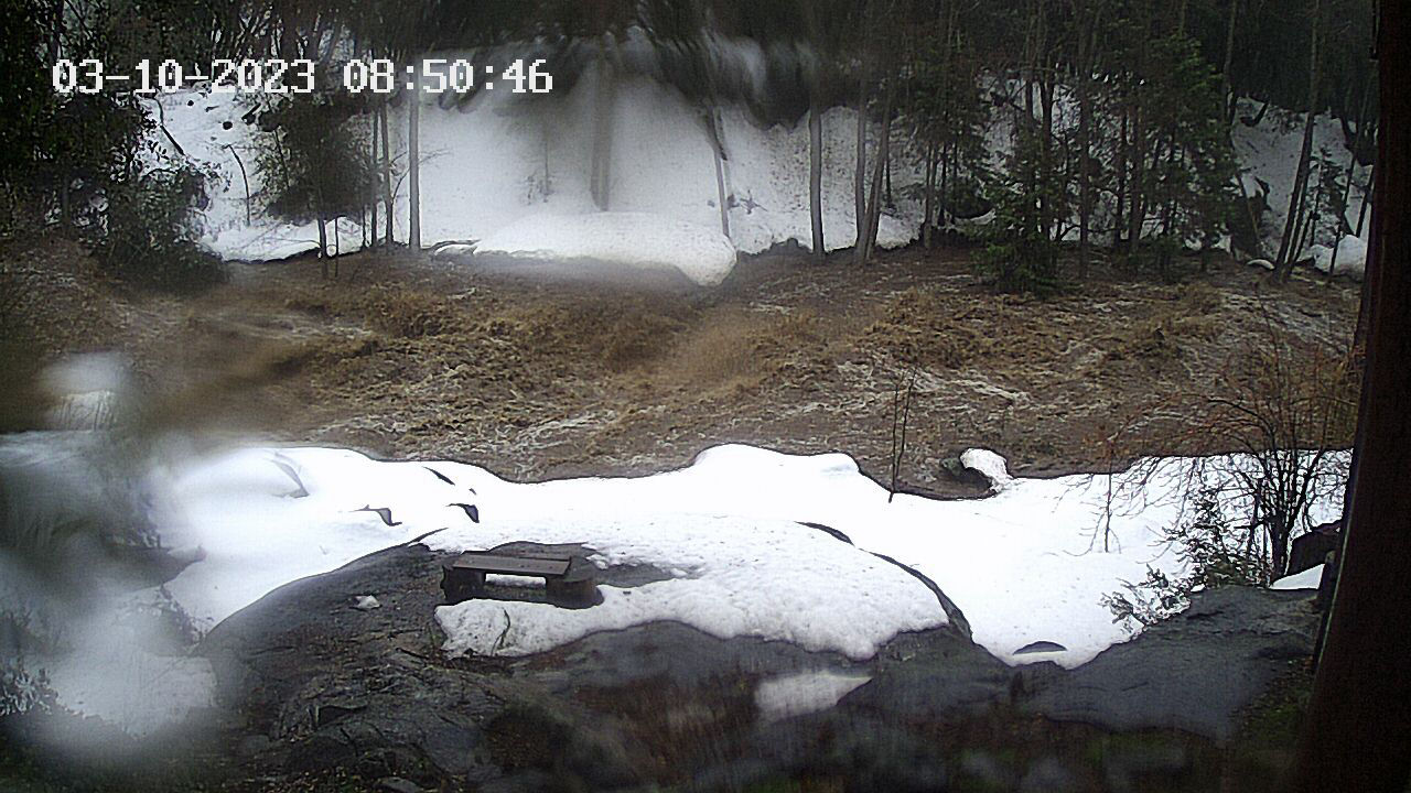 Doyle Springs Rivercam